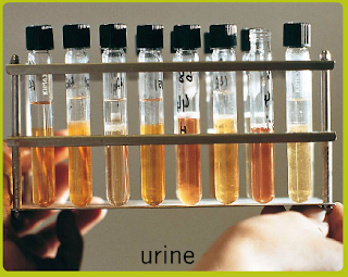 Mi primer año en Red XXI: enero 2013