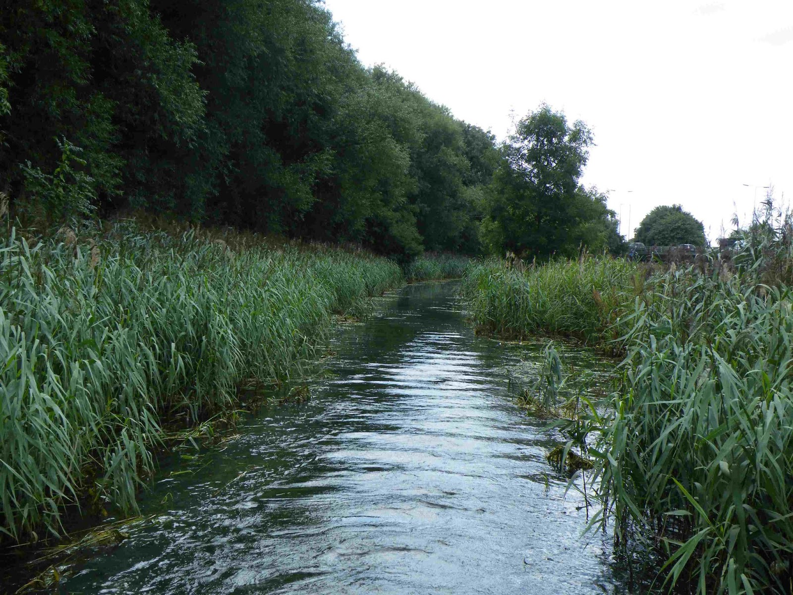 Travelling the Canals of England: Cruising the Nene