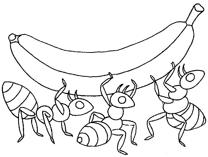 Ant Colony Coloring Pages - Best Coloring Pages For Kids