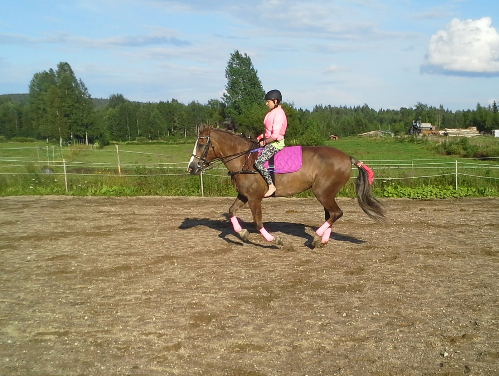 Luokki ja satula: Pissis ja Pimpula Pampula (Video)