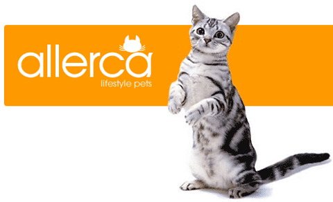 Exclusively Cats Veterinary Hospital Blog: Can I buy a hypoallergenic cat?