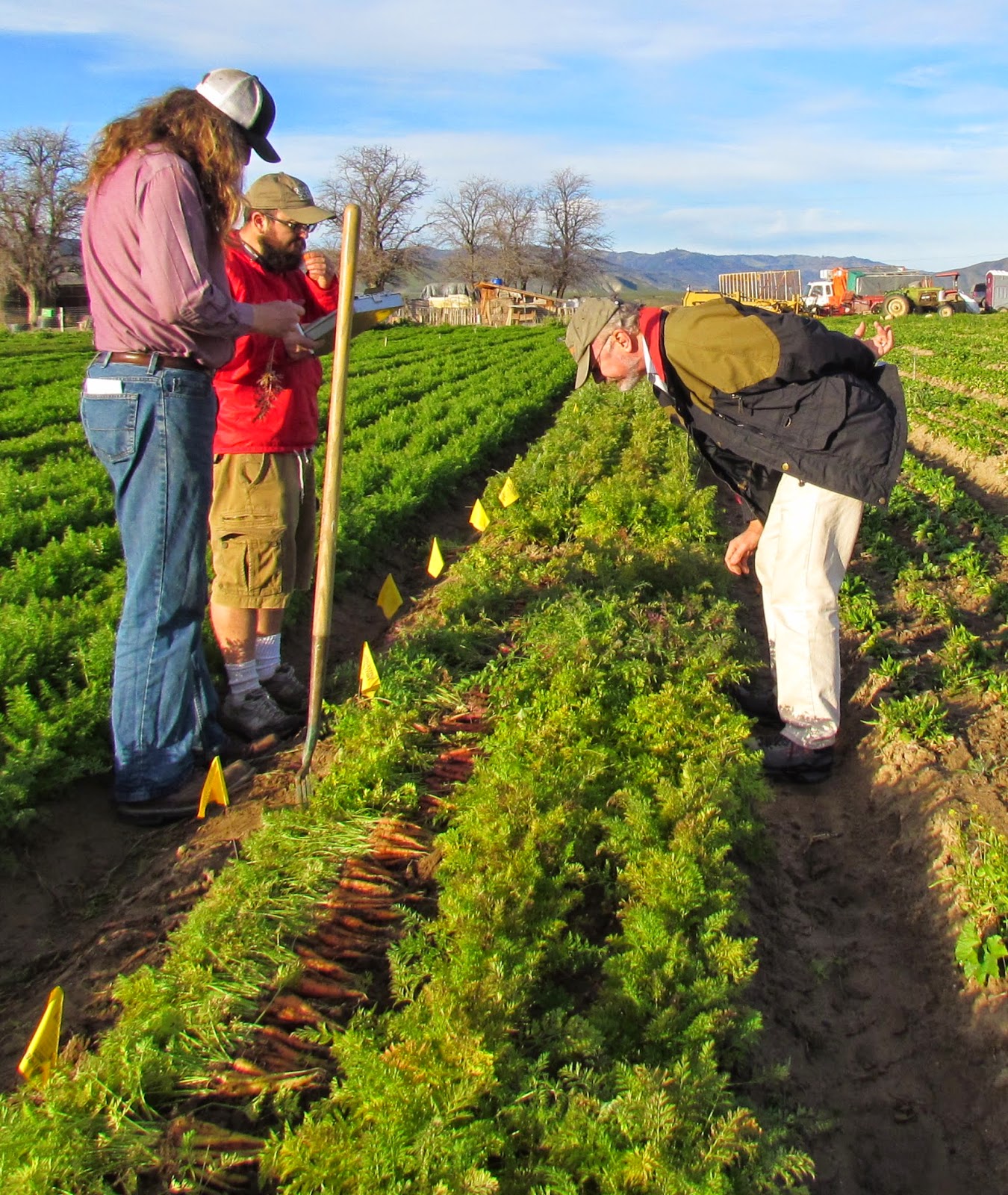 Seed Revolution Now!: Working Together To Build The California Seed Network