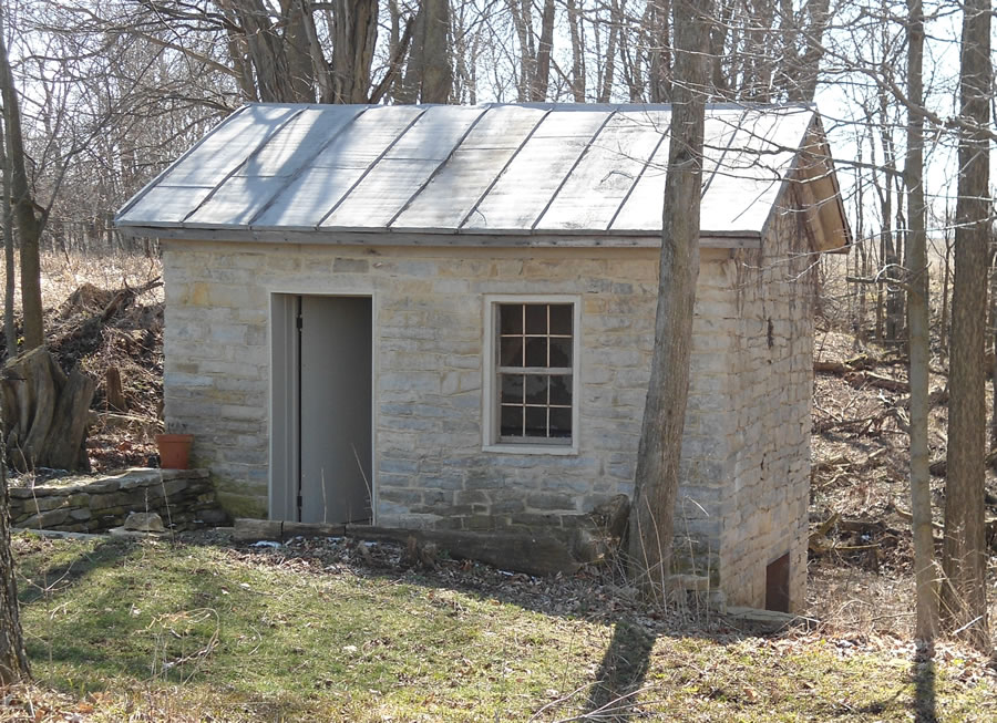 The Einsel House: Spring Projects