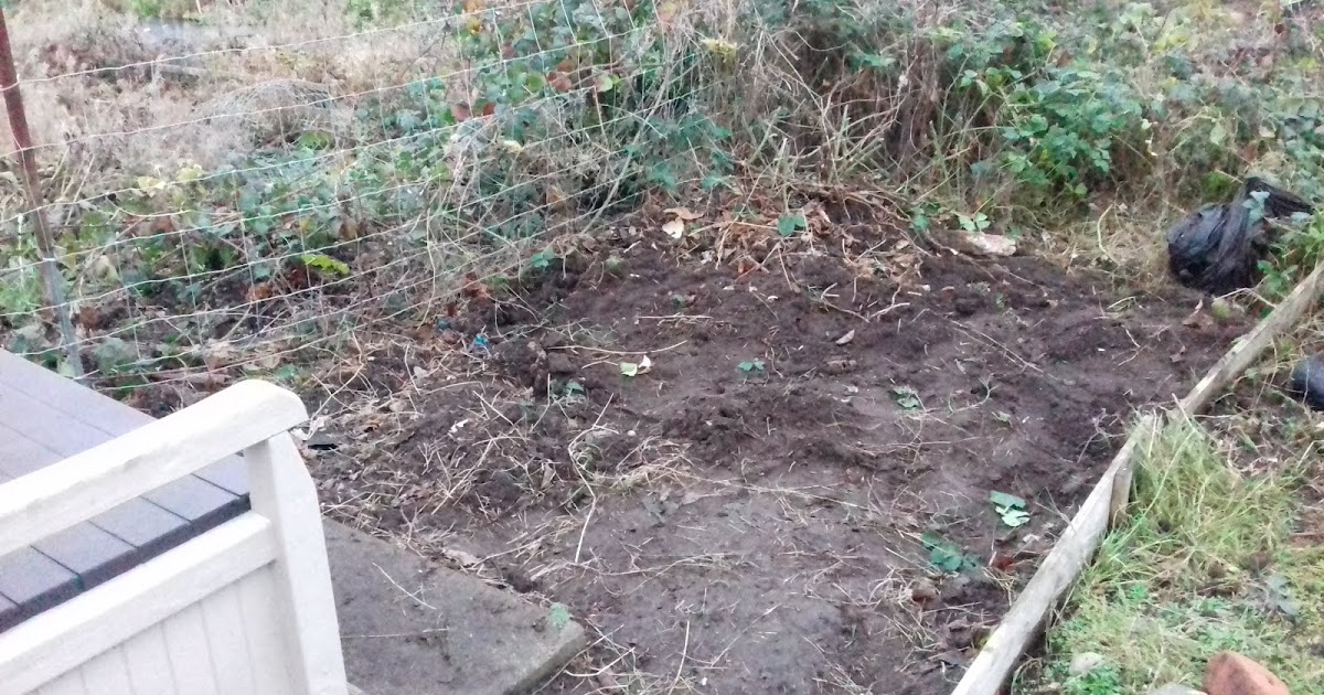 Hazel and Jane's allotment: A New Space