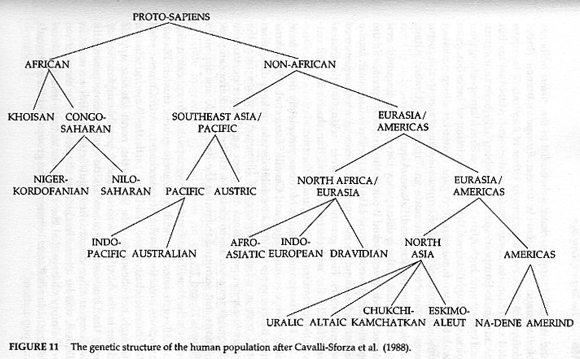 Language Evolution: April 2013