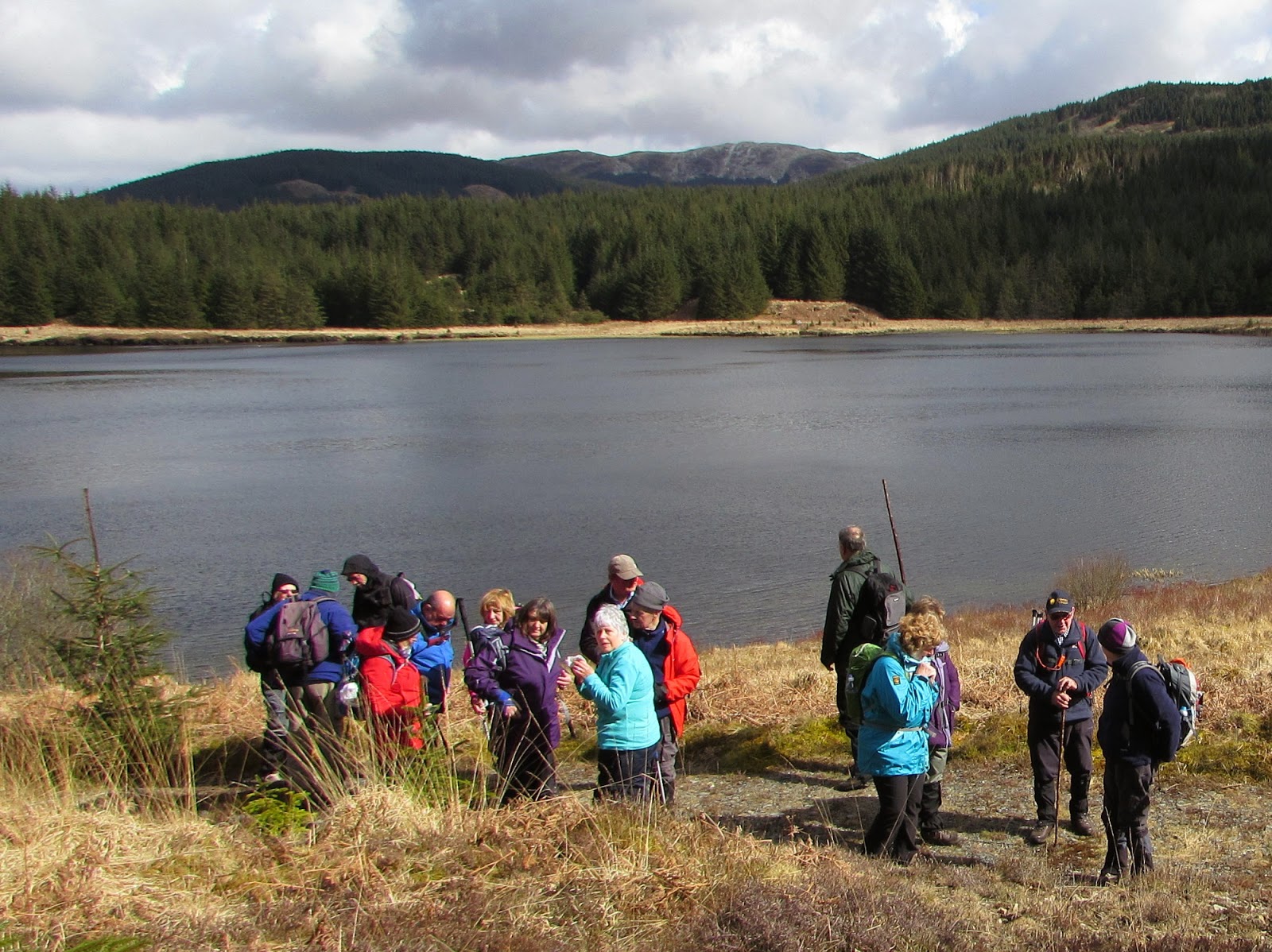 The Glebe Blog: Wigtownshire Ramblers Two Walks - Wood of Cree to Loch ...