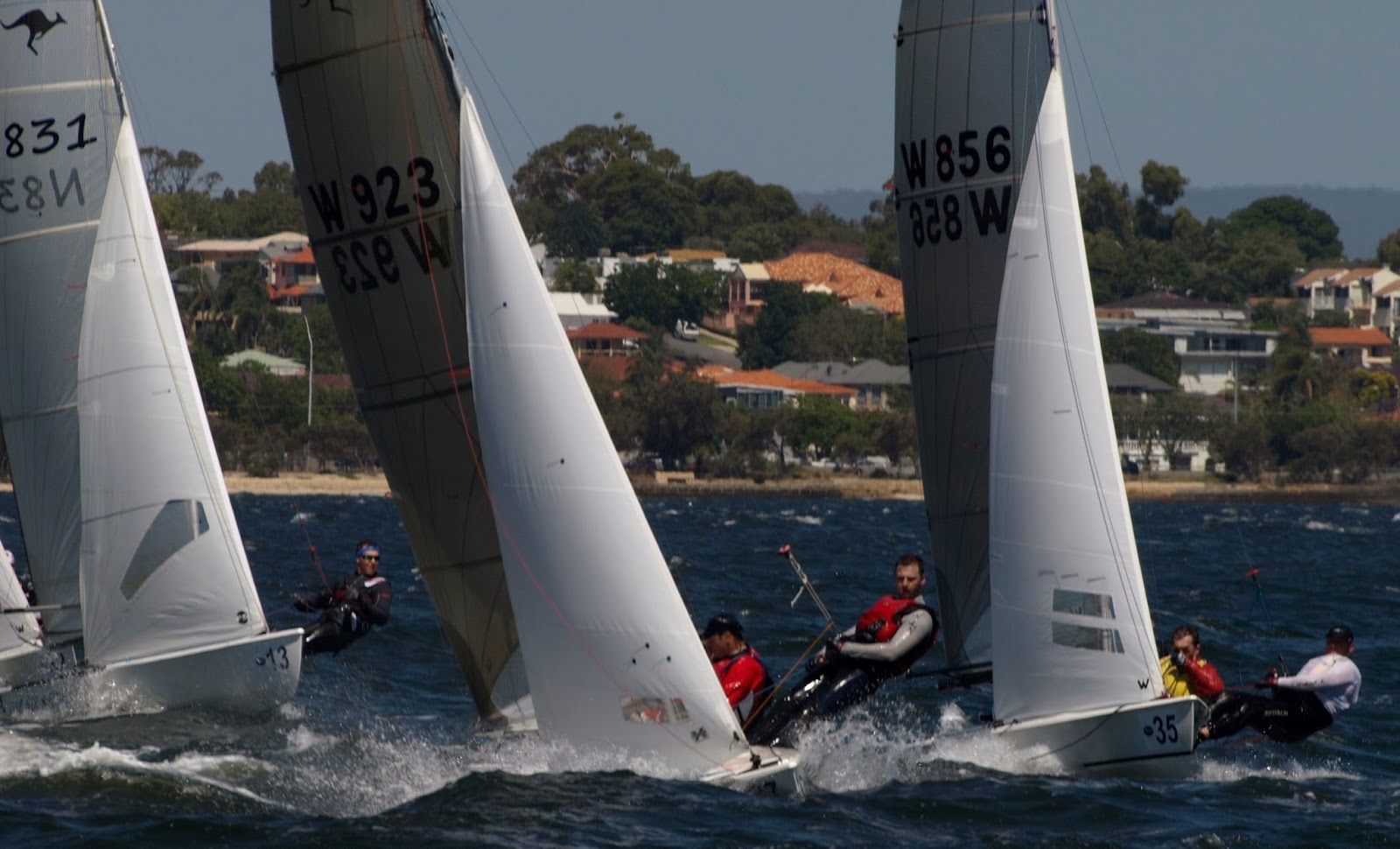 Observations in an undemocratic world: Race 6 - Australian Sharpie ...