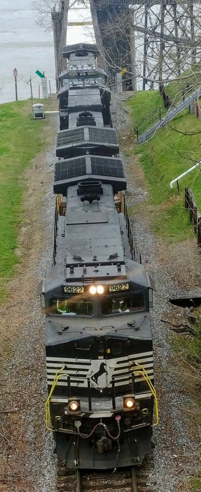 Marian's Hunting Stories, etc., etc., etc...: MS River Above Flood ...