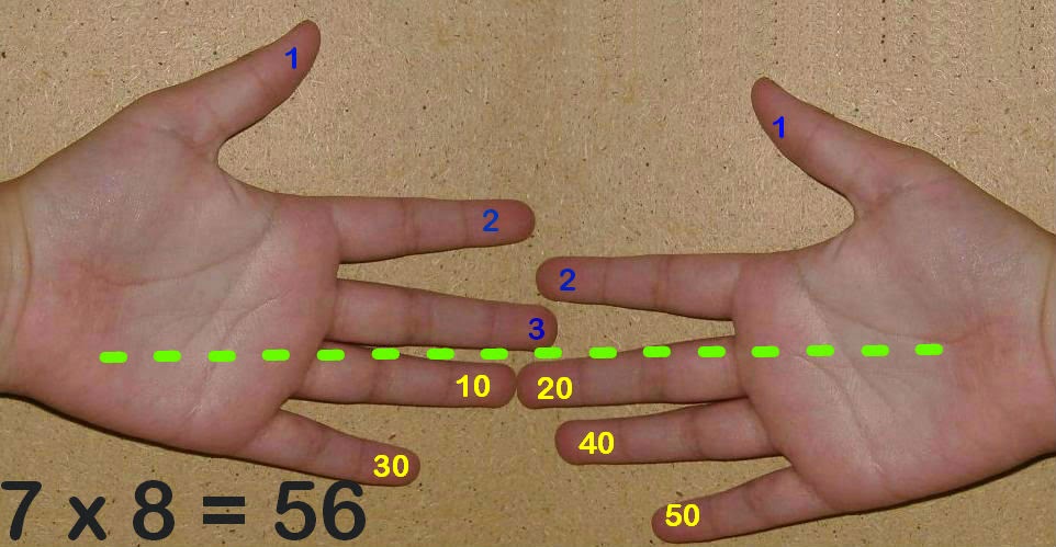 Teach Your Kids to Learn Multiplication With #FingerMath ~ Born a ...