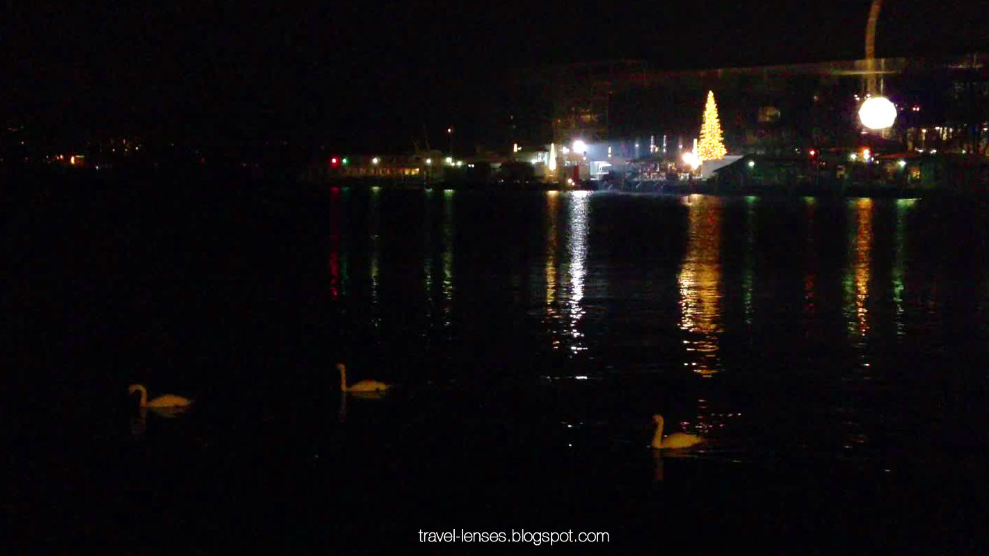 Travel Lenses: [EU Holidays] Europe Day 3+4 - Titisee, Germany+Lucerne ...