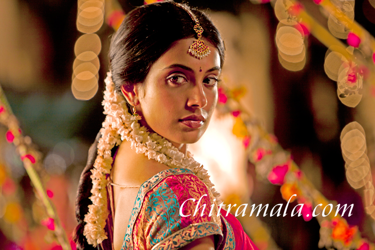 The Best Top Desktop HD Wallpapers: Panjaa Movie Latest Spicy Stills