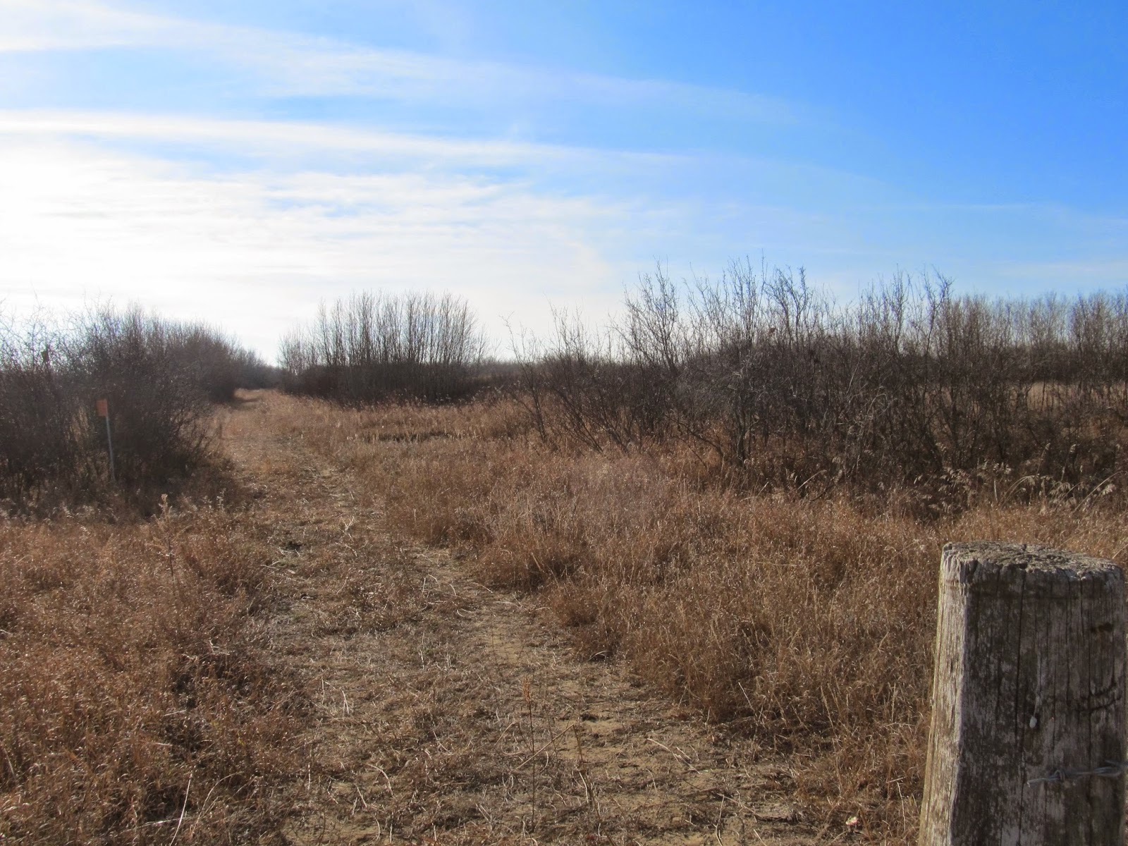 CP Rail Manitoba & Minnesota Subdivision: Ghost Train of St. Louis ...