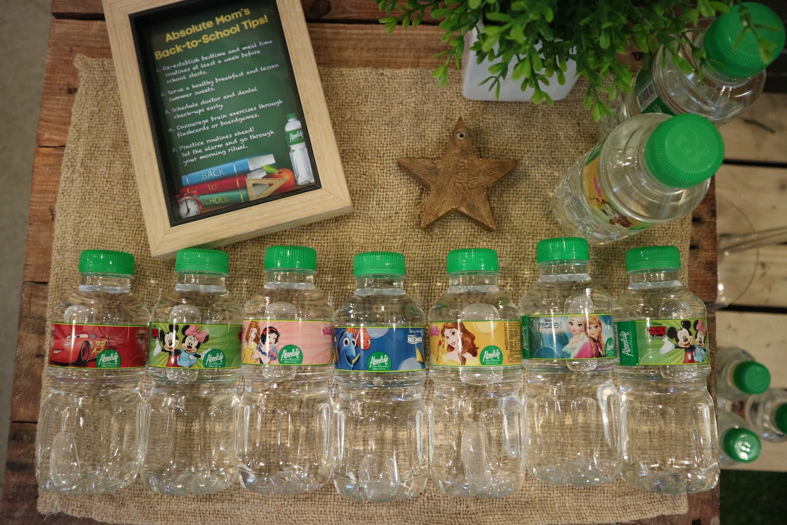 Absolute x Disney ♥ - ARTSY FARTSY AVA