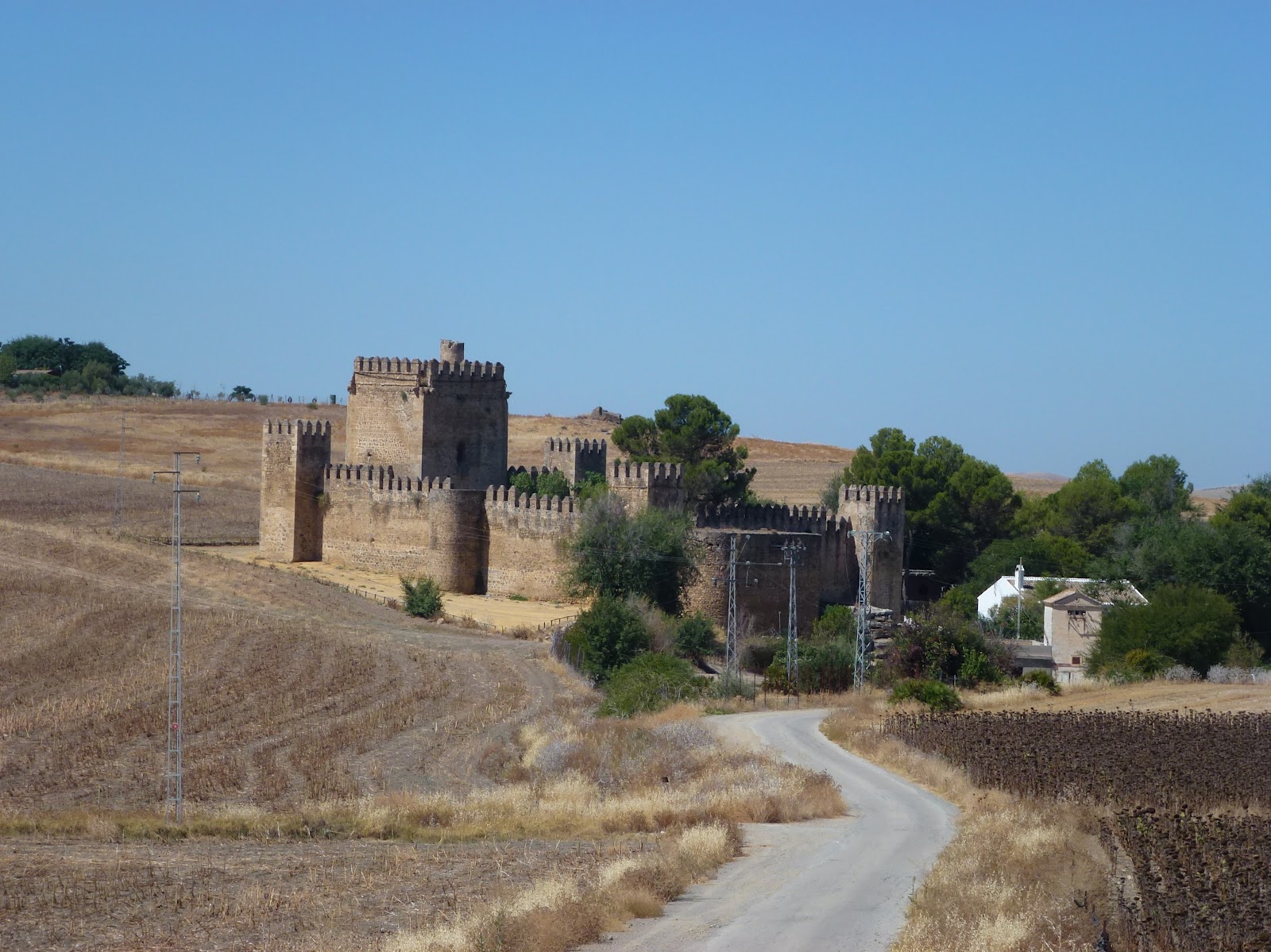 Olvera diary: El Coronil re-visited