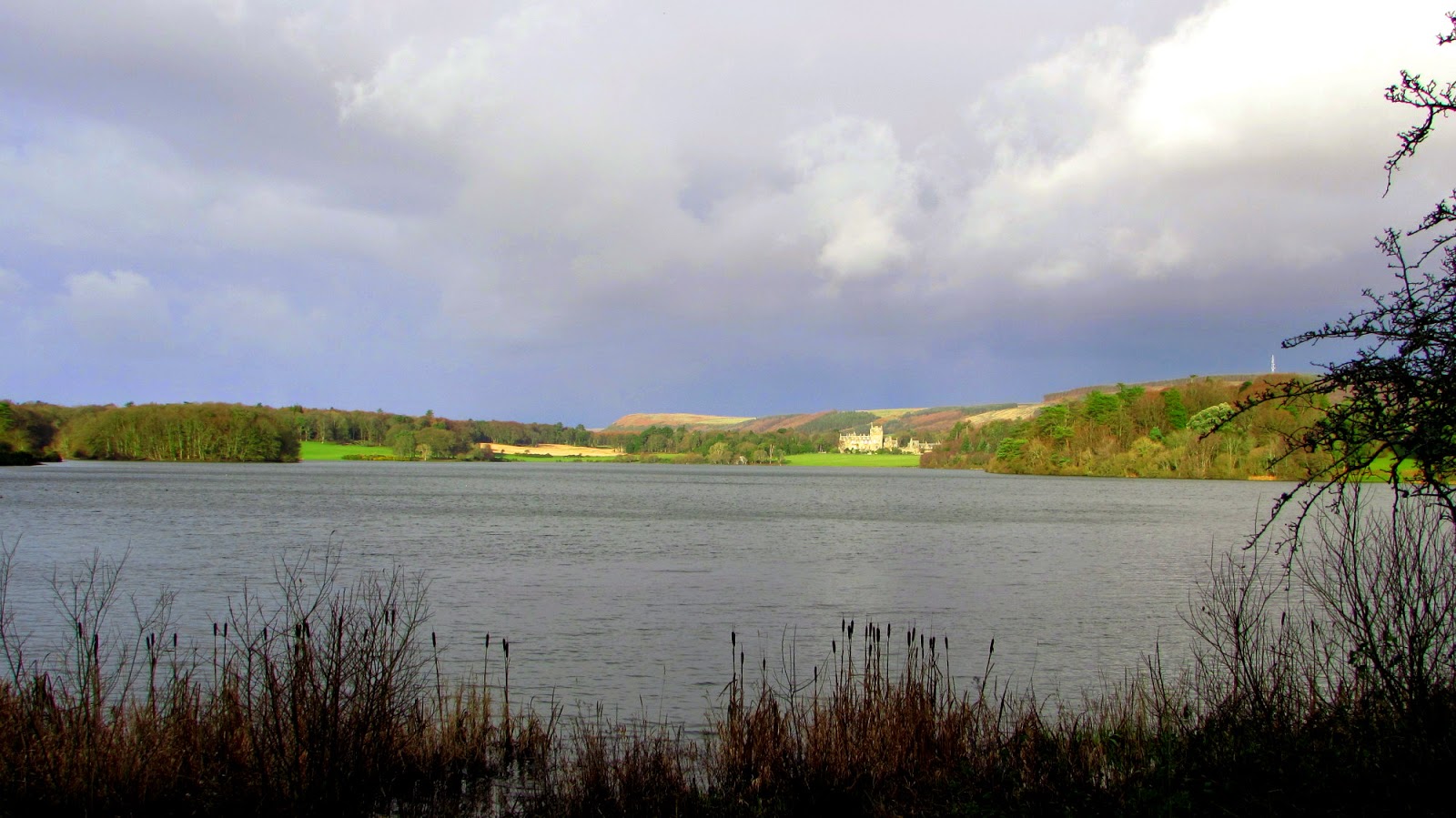 The Glebe Blog: Wigtownshire Ramblers Stranraer Castle Kennedy December ...