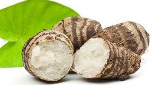 PENGERTIAN UMBI DAN JENISNYA BESERTA MANFAATNYA