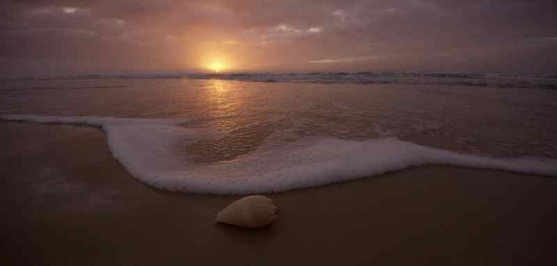 Dumb Blonde Sheila: How paradise became Fraser Island