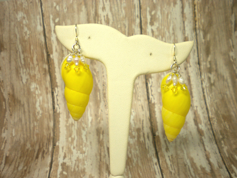 Del's Shells: New for Me and You!