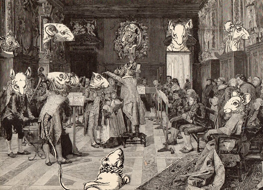 GUIDO VERMEULEN: PROVA d’ ORCHESTRA by Federico Mouse Fellini