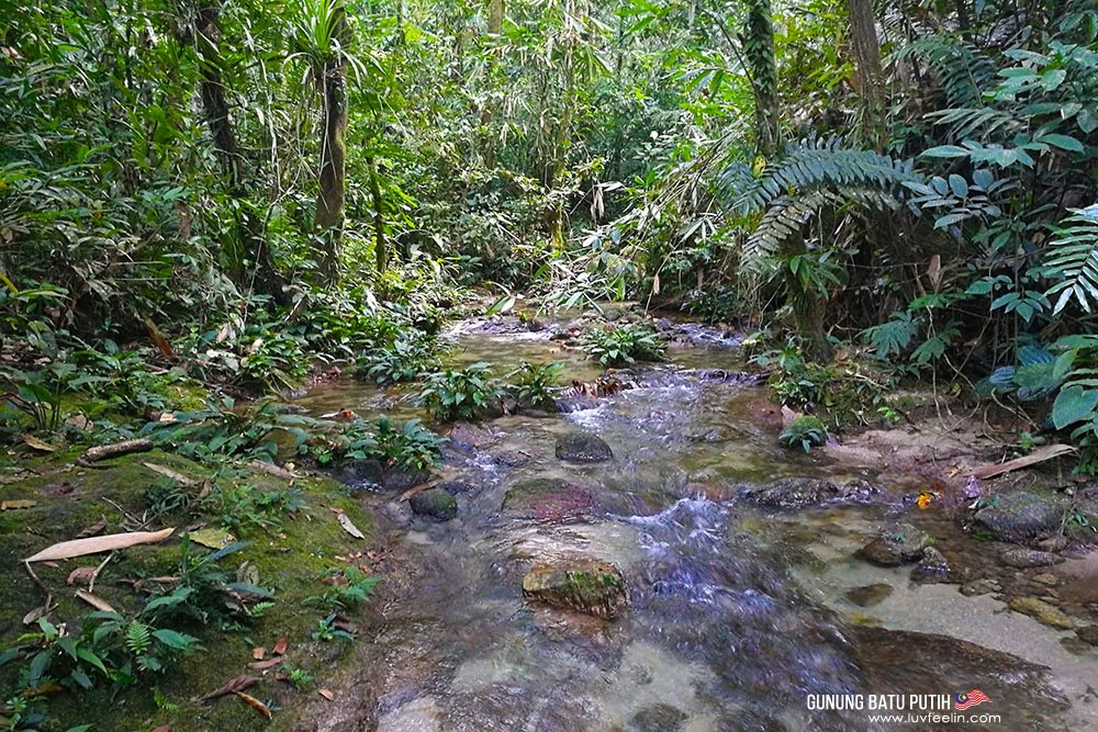 Gunung Batu Putih 走到脚歪歪的半岛第八峰【白岩山】 - 乐飞翎 ♥ LUVFEELIN