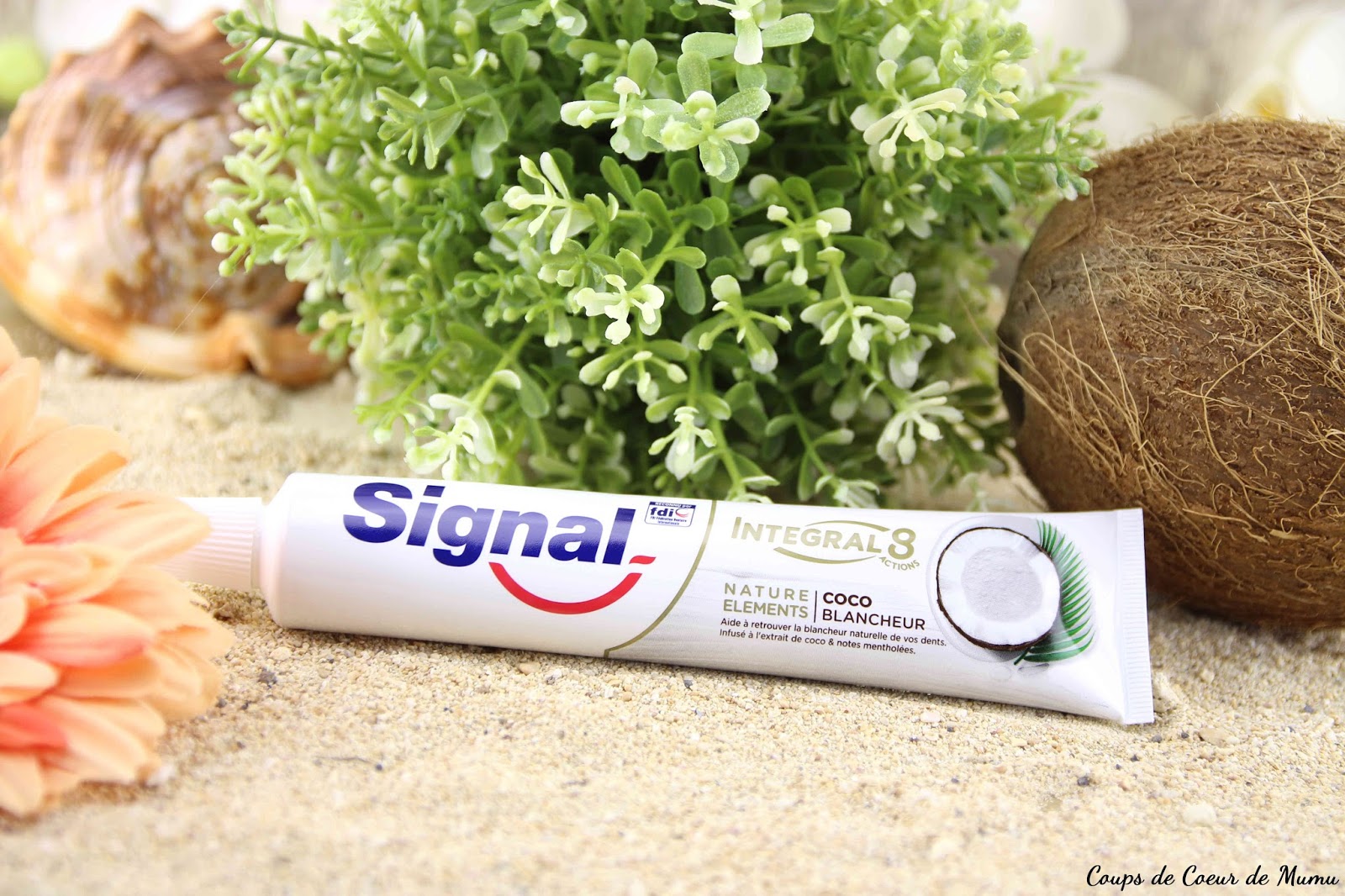 Je teste le nouveau Dentifrice SIGNAL Integral 8 Coco Blancheur ...