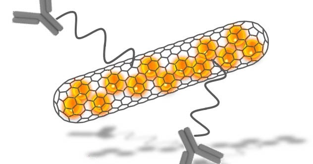 BIOLOGÍA: NANOCÁPSULAS CONTRA EL CÁNCER