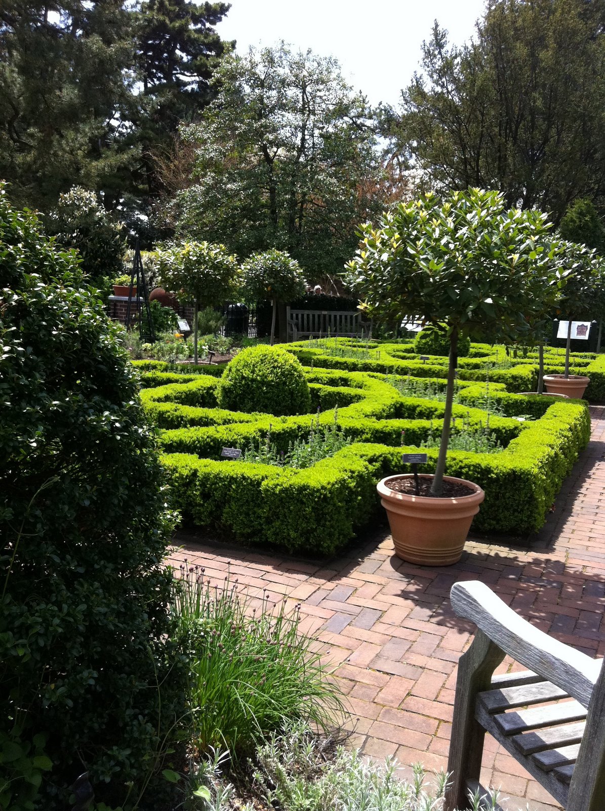 My Hingham Gardens: Perfect symmetry in a formal garden at NYBG