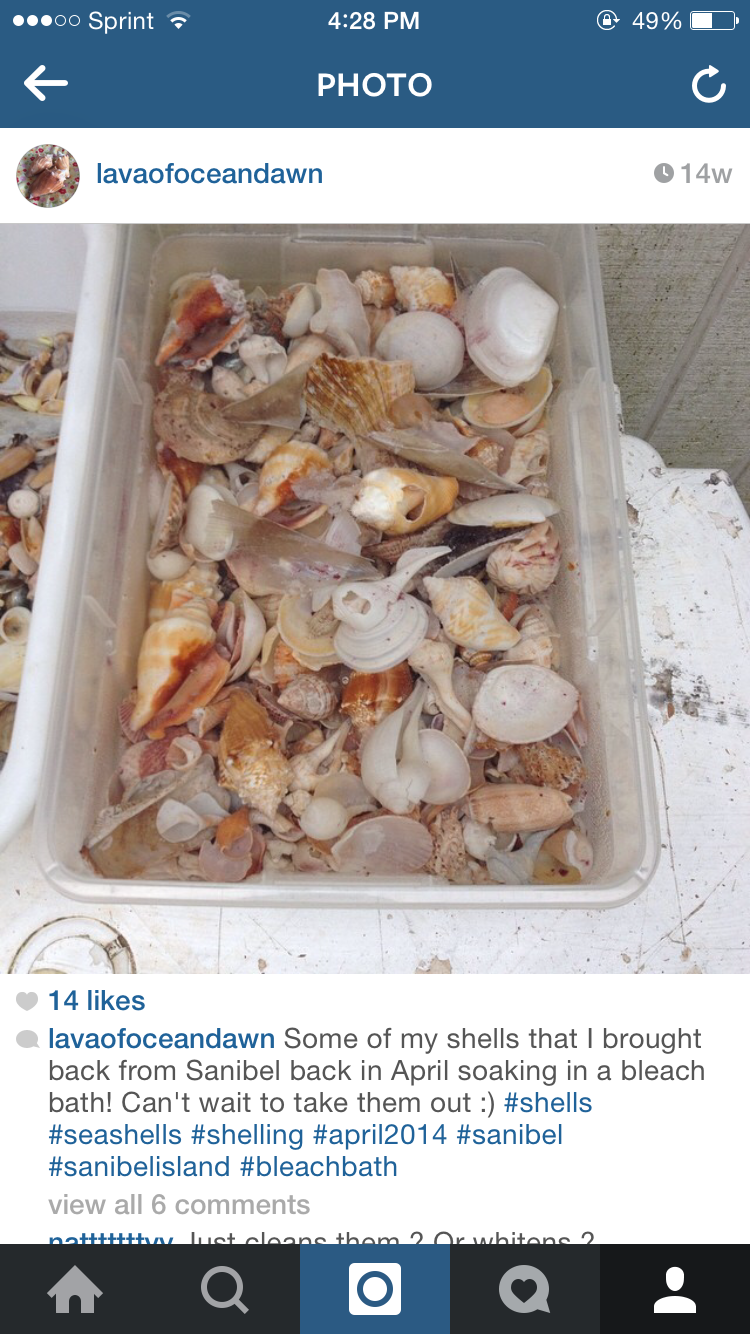 Lava of Ocean Dawn: Cleaning you Shells