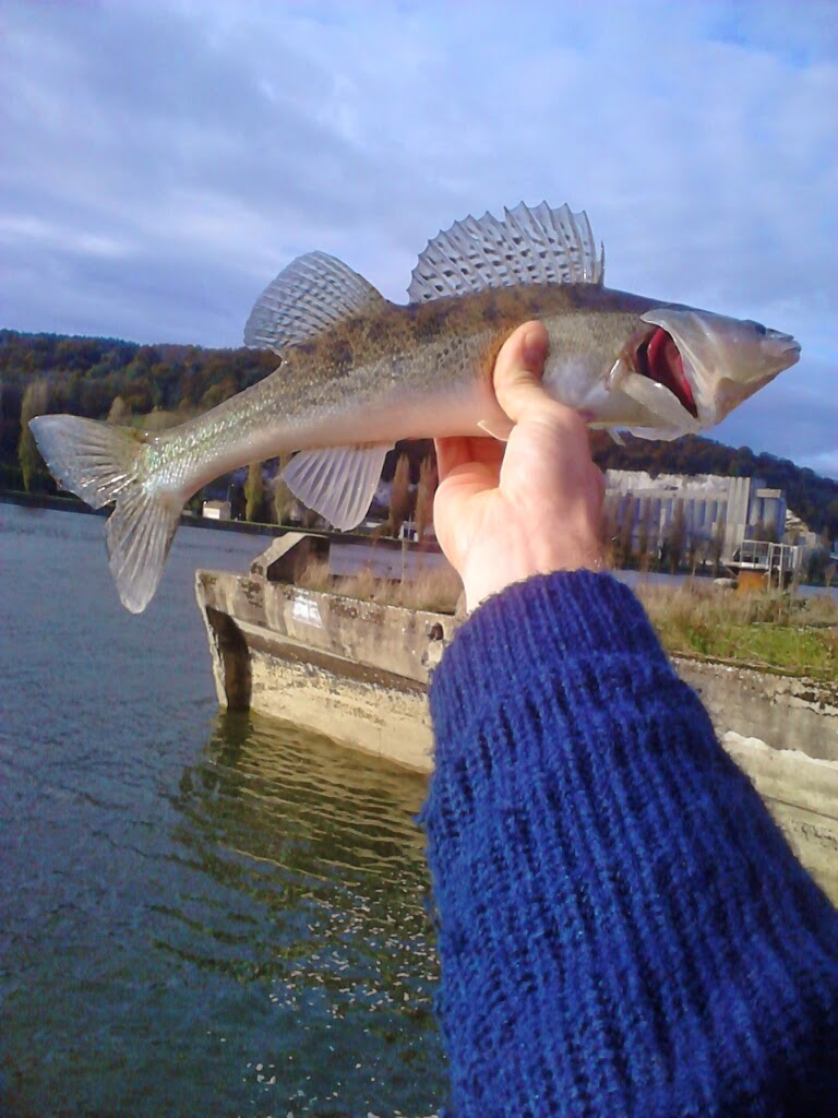 Fish Normandie !!!!!!!!!!!!!!!!!!!!!!!: Peche en Seine Maritime^^