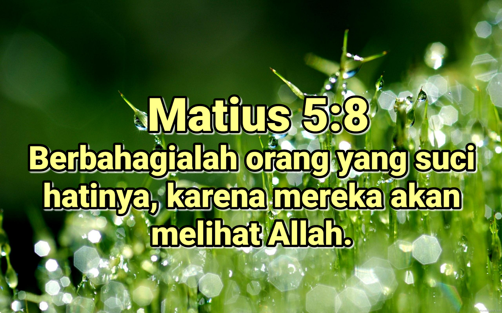 RENUNGAN BACK TO BIBLE: BERBAHAGIALAH ORANG YANG SUCI HATINYA