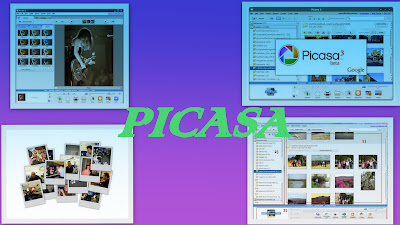PICASSA: CARACTERÍSTICAS Y REQUISITOS PARA UTILIZAR PICASA