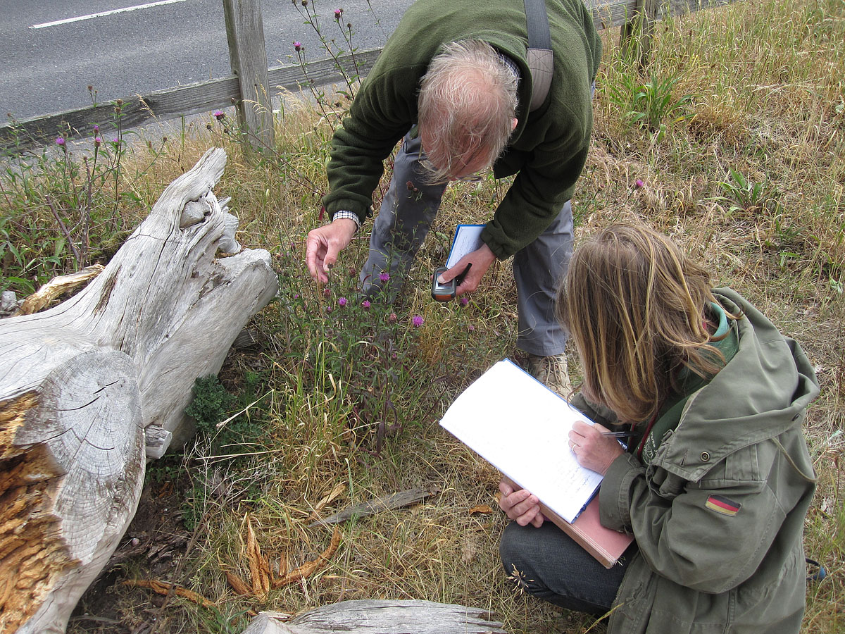 Spring At Keston | Naturally