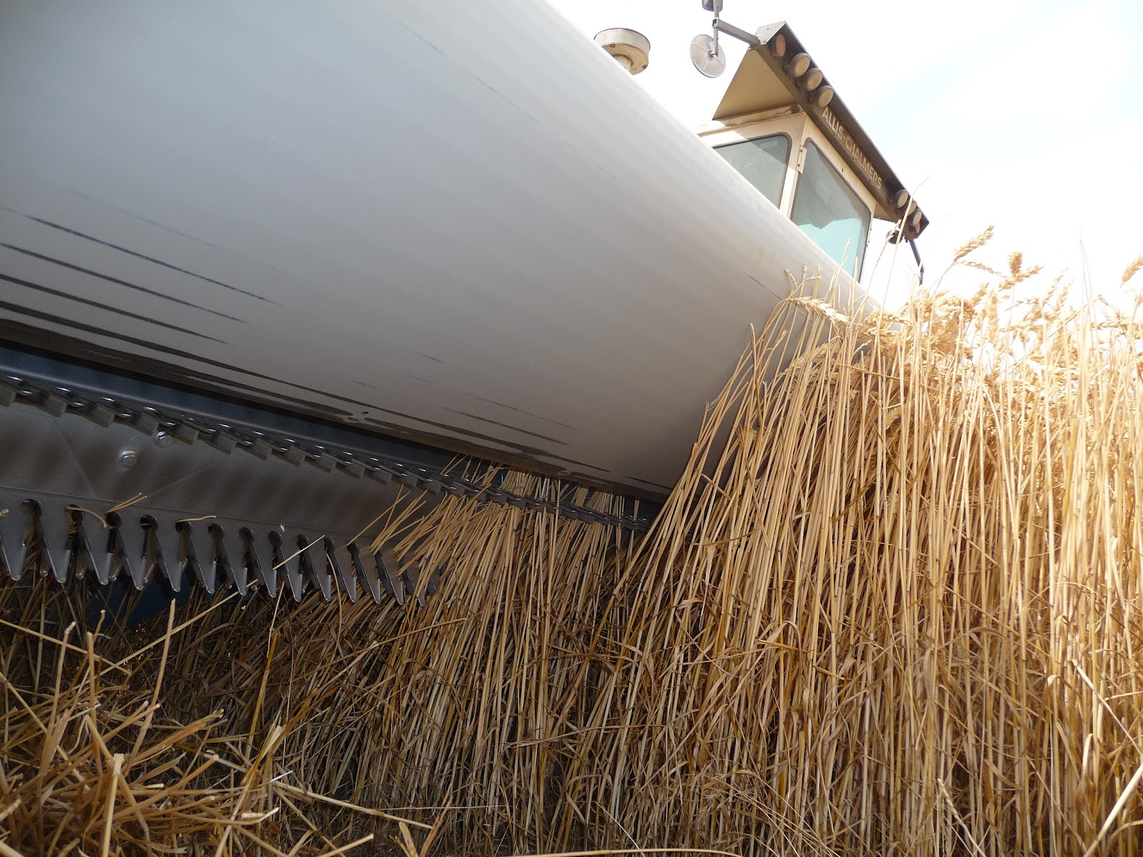 FARMING THE PALOUSE: Shelbourne Stripper Header