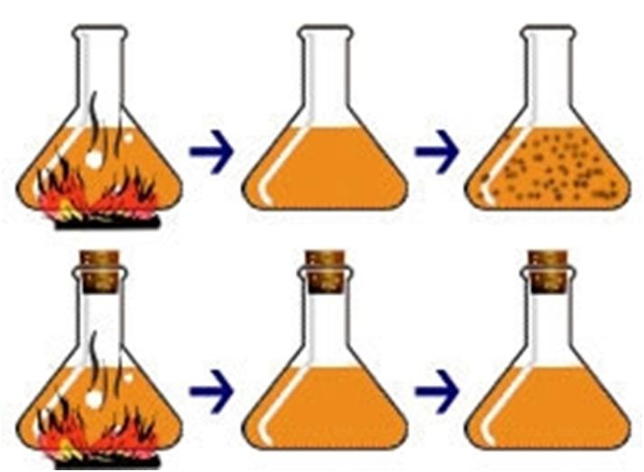 Teoria da biogênese | DICAS AQUI