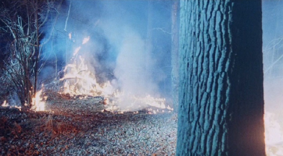 The Bloody Pit of Horror: Xtro (1982)