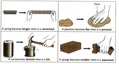 My Teaching Garden: Effects of a Force