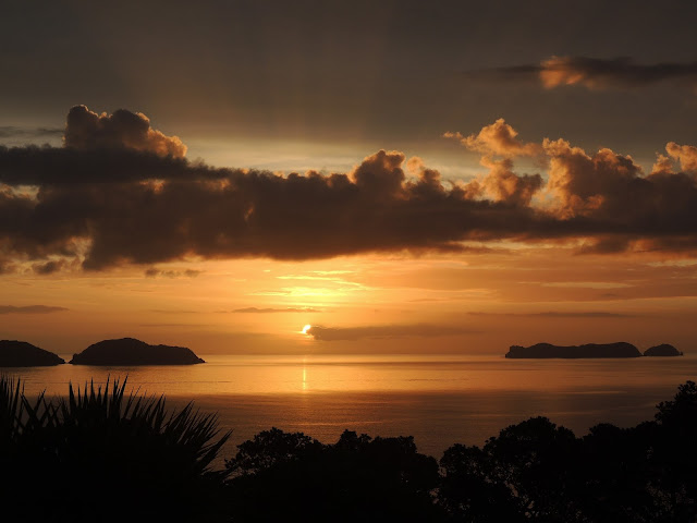 THE ROAD TAKEN : Amodeo Bay All Day