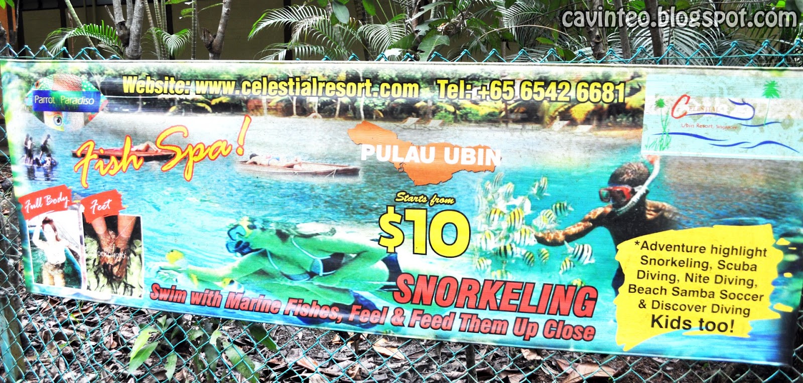 Entree Kibbles: Cycling Trip to Pulau Ubin [乌敏岛] Part 2