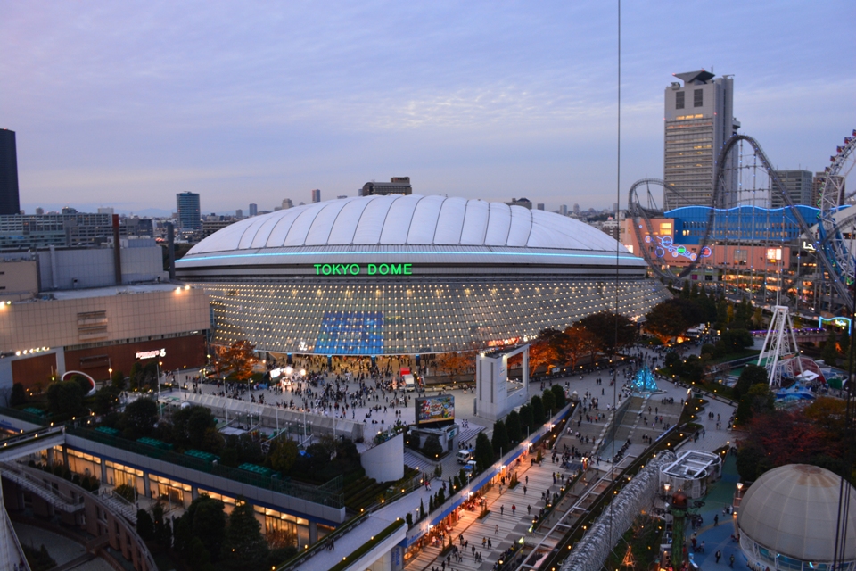 Life with hubby: Baseball tournament game at Tokyo Dome