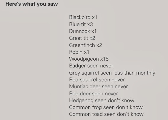 Wild and Wonderful: Wildlife Survey ~ RSPB Big Garden Birdwatch 2014