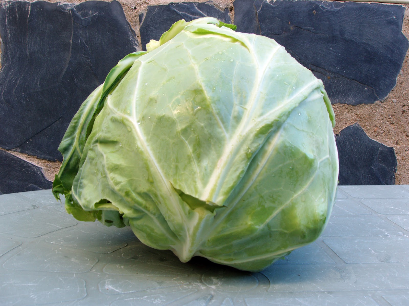 Con derecho a cocina: Salteado de col