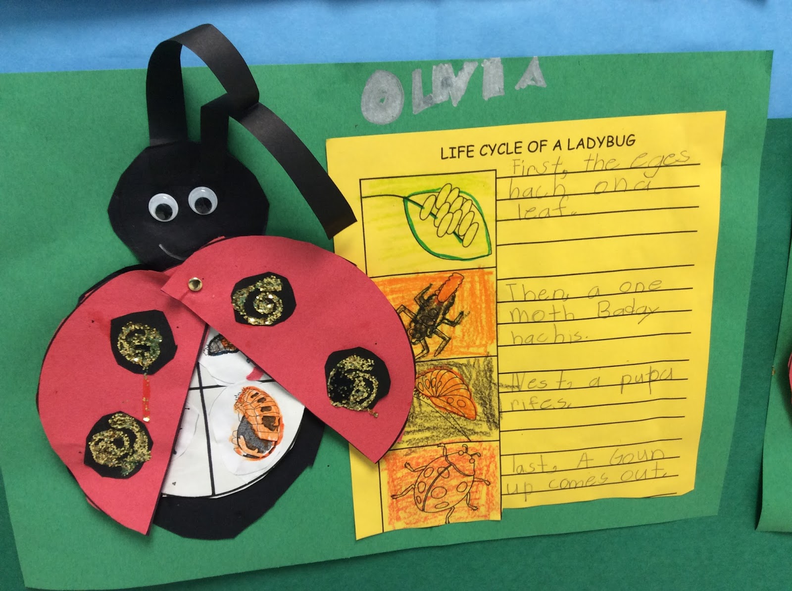 Create Your Balance With Literacy