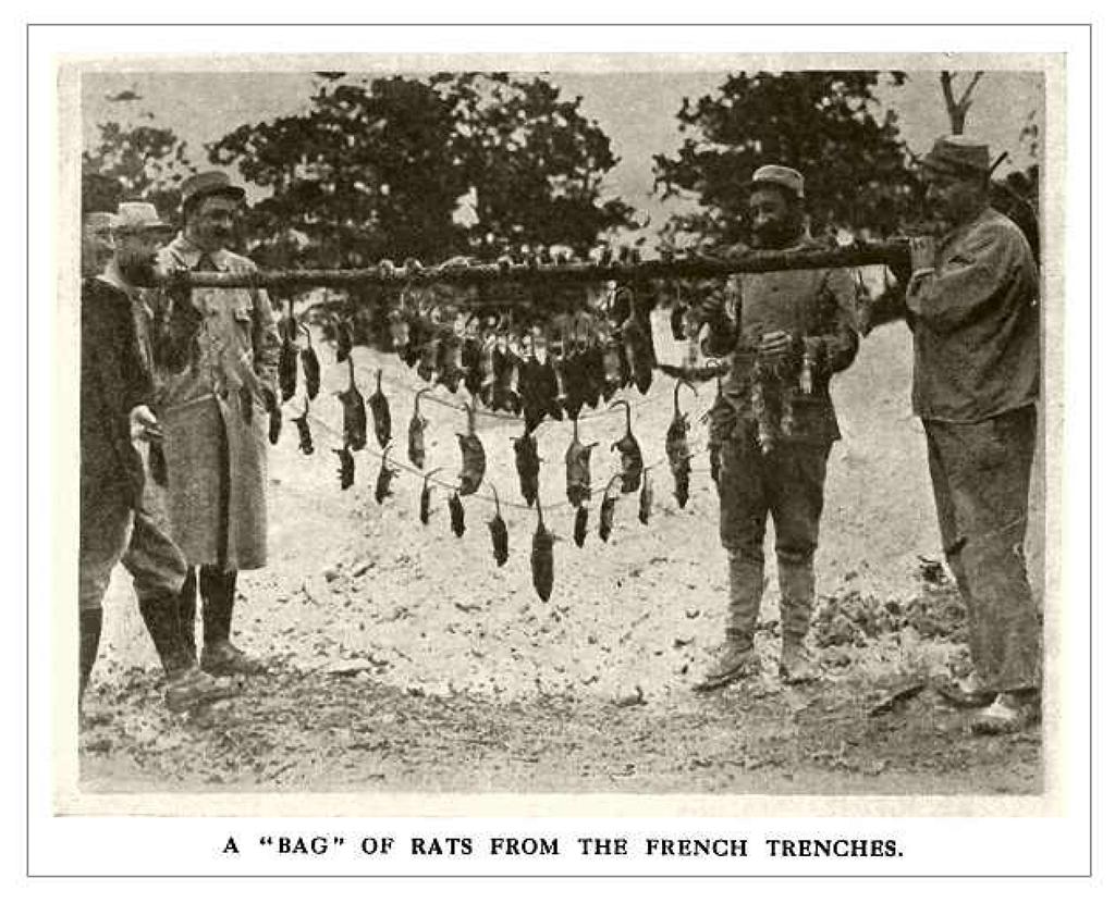 Military History Of the 20th Century: July 2011