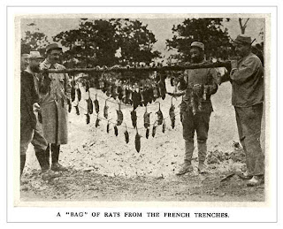 Military History Of the 20th Century: Trench Rats Of World War 1photo 5