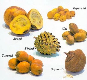 Café Vélo Vert: Curativo Natural: Sucos e frutas da Amazônia