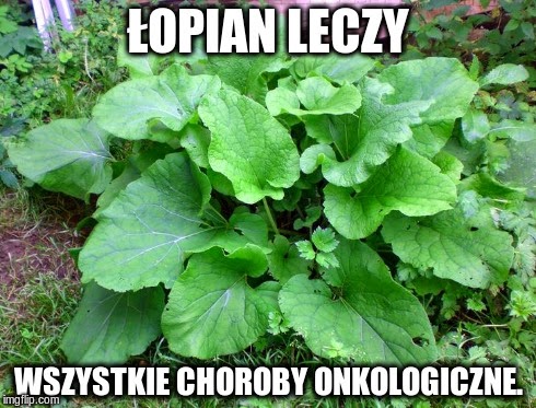 Słowiańska kultura: Łopian