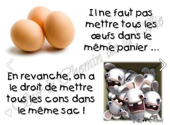 French Vocabulary Illustrated: en revanche