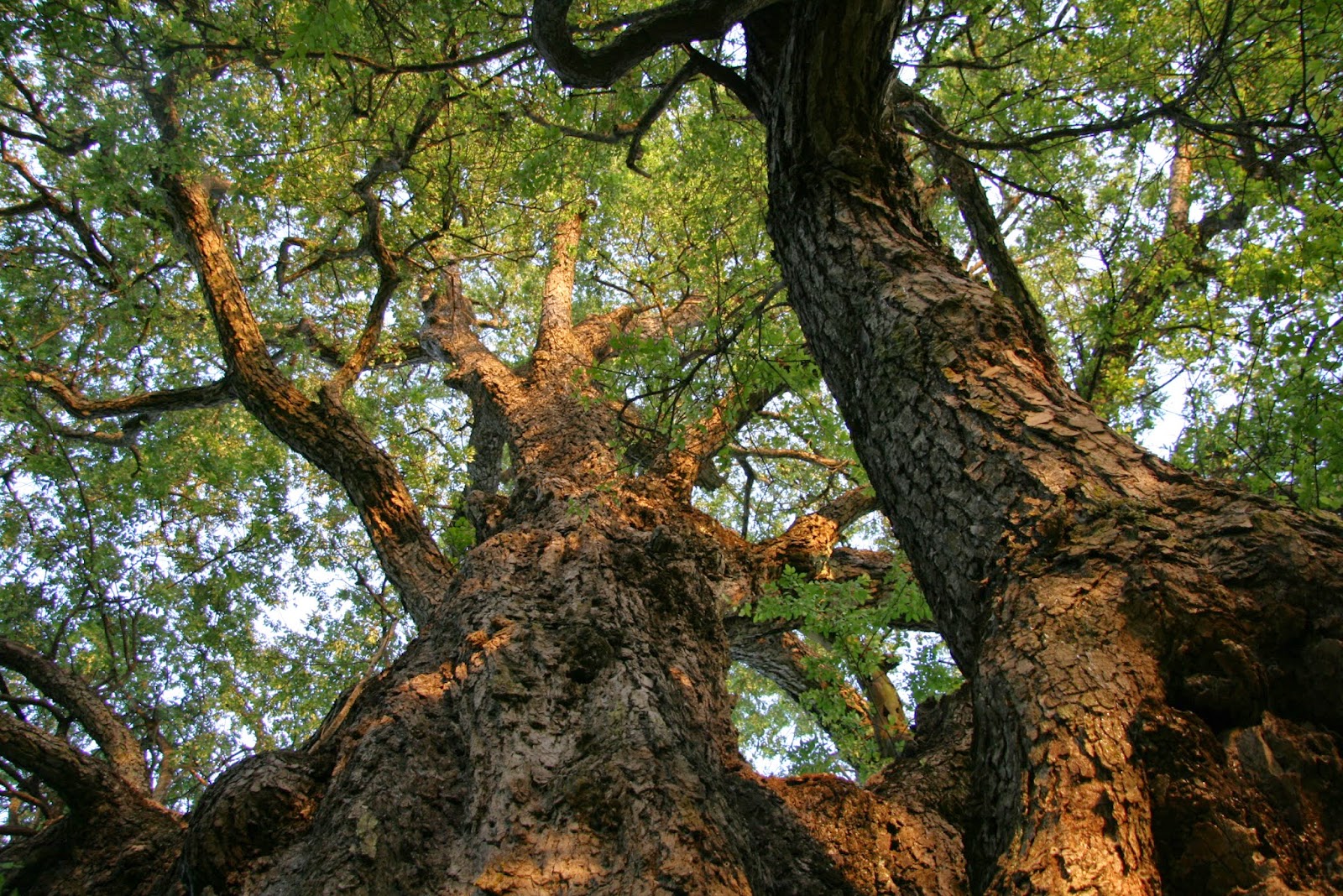 Channel Light Vessel: John and Marie Christine Ridgway: 50 years of ...