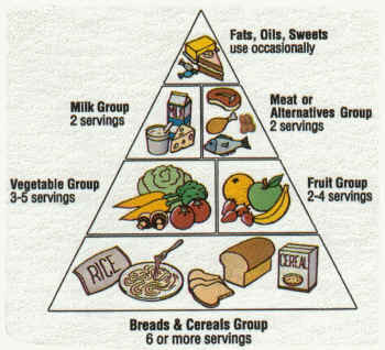 Food Pyramid Servings Sizes