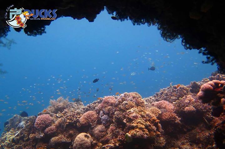 Blue Hole ~ Romblon Islands